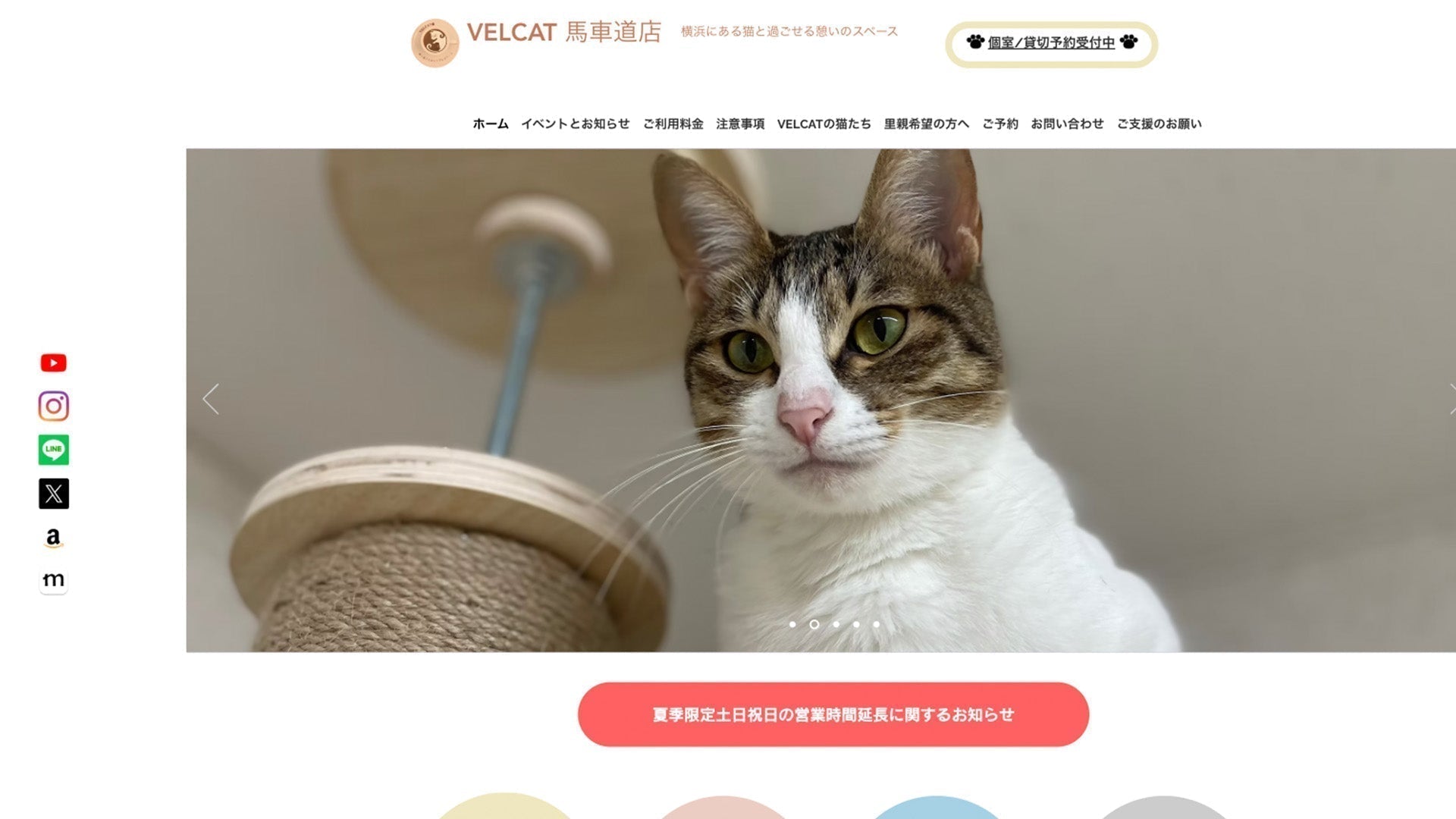 VELCAT 馬車道店 – MOFMORE